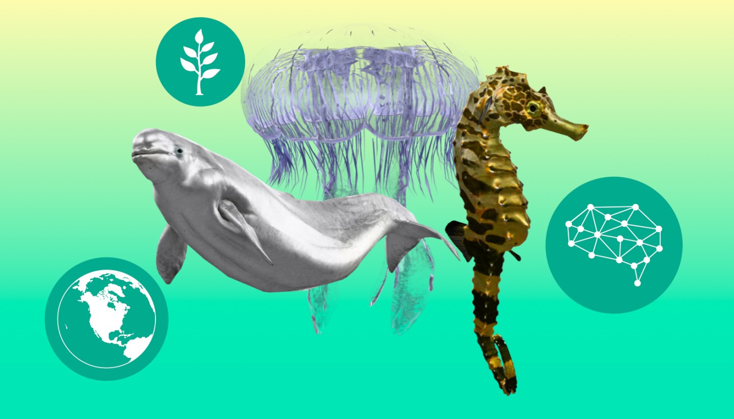 Pat – MIT Researcher/Scientist